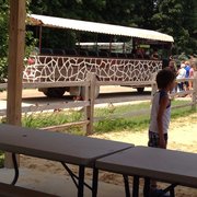 Boulder Ridge Wild Animal Park - 17 Photos - Zoos - 8313 Pratt Lake ...