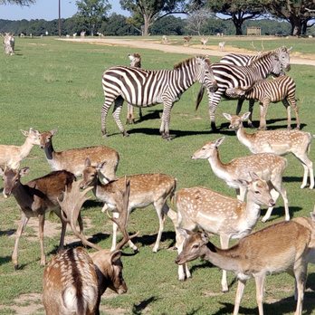 Global Wildlife Center - 437 Photos & 90 Reviews - Zoos - 26389 Hwy 40 ...