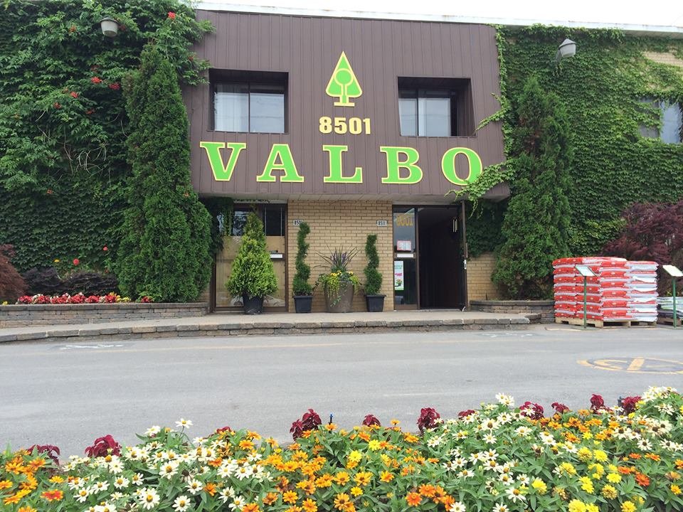 Valbo - Nurseries & Gardening - 8501 Henri-Bourassa Boul E, Rivière-des ...