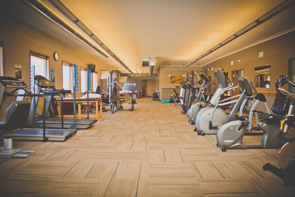 Peak Performance Physical Therapy Physical Therapy 7402 Westshire Dr Lansing Mi Phone