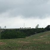 YMCA Camp Classen - 19 Photos - Day Camps - 10840 Main Camp Rd, Davis ...