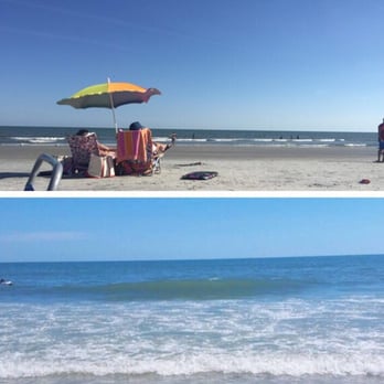 Coligny Beach Park - 113 Photos & 59 Reviews - Parks - 12 S Forest ...