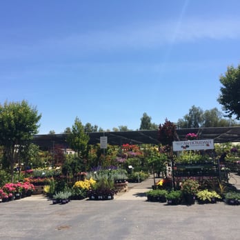 Almaden Valley Nursery - 118 Photos & 58 Reviews - Nurseries ...