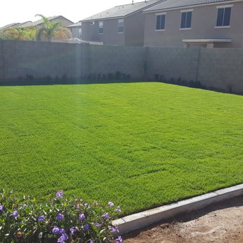 Evergreen Turf - 21 Photos & 12 Reviews - Landscaping - 11407 E Germann ...