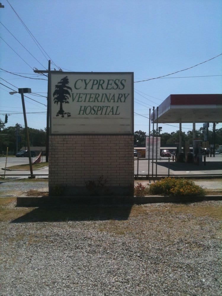 Cypress Veterinary Hospital - Veterinarians - 1533 Cypress St, Sulphur ...