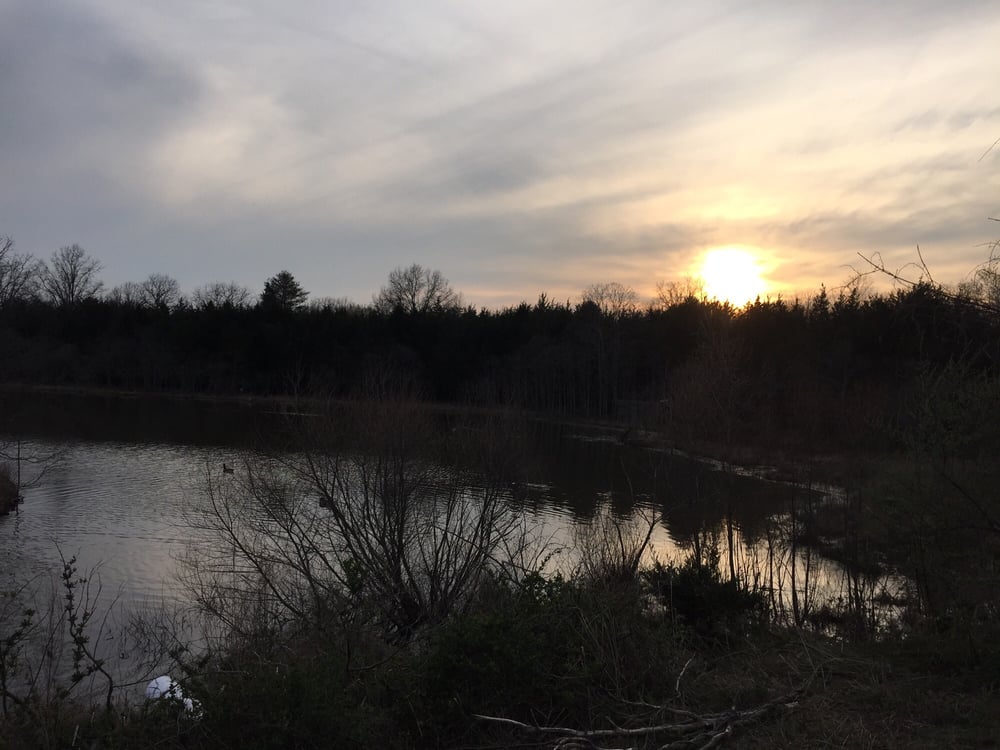 Claude Moore Recreation Center - 26 Photos & 29 Reviews - Recreation ...