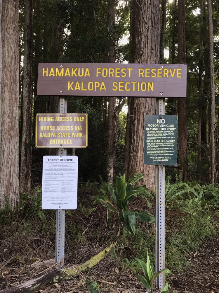 Kalopa State Park - Hiking - 44-2335 Kalopa Rd, Honokaa, HI - Yelp