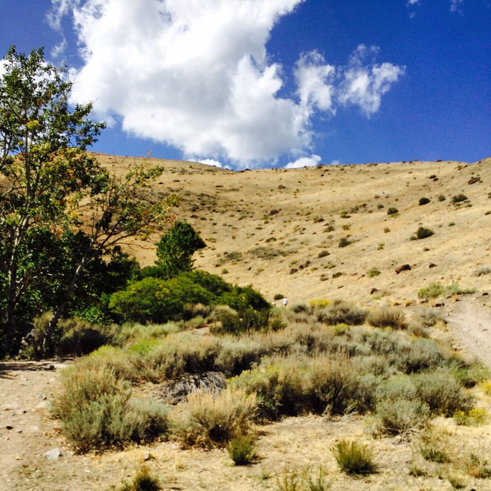 Michael D Thompson Trailhead - 93 Photos & 23 Reviews - Hiking ...