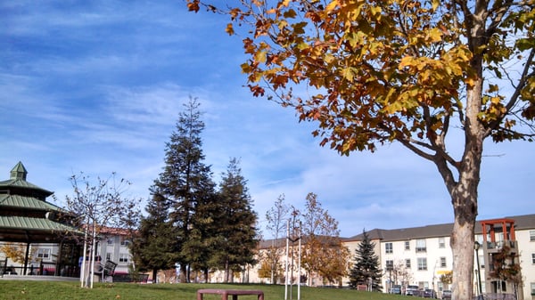 Greenfield, CA Map & Directions - MapQuest