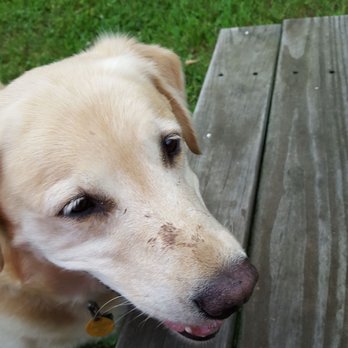 Collins Creamery - 66 Photos & 80 Reviews - Ice Cream & Frozen Yogurt ...