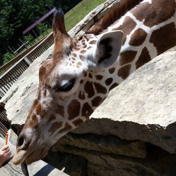 Timbavati Wildlife Park - 143 Photos & 88 Reviews - Parks - 2220 ...