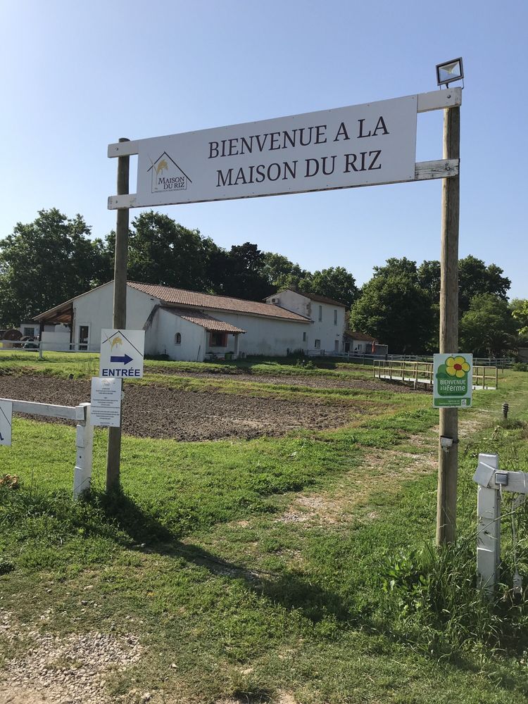 Maison Du Riz | Ventana Blog