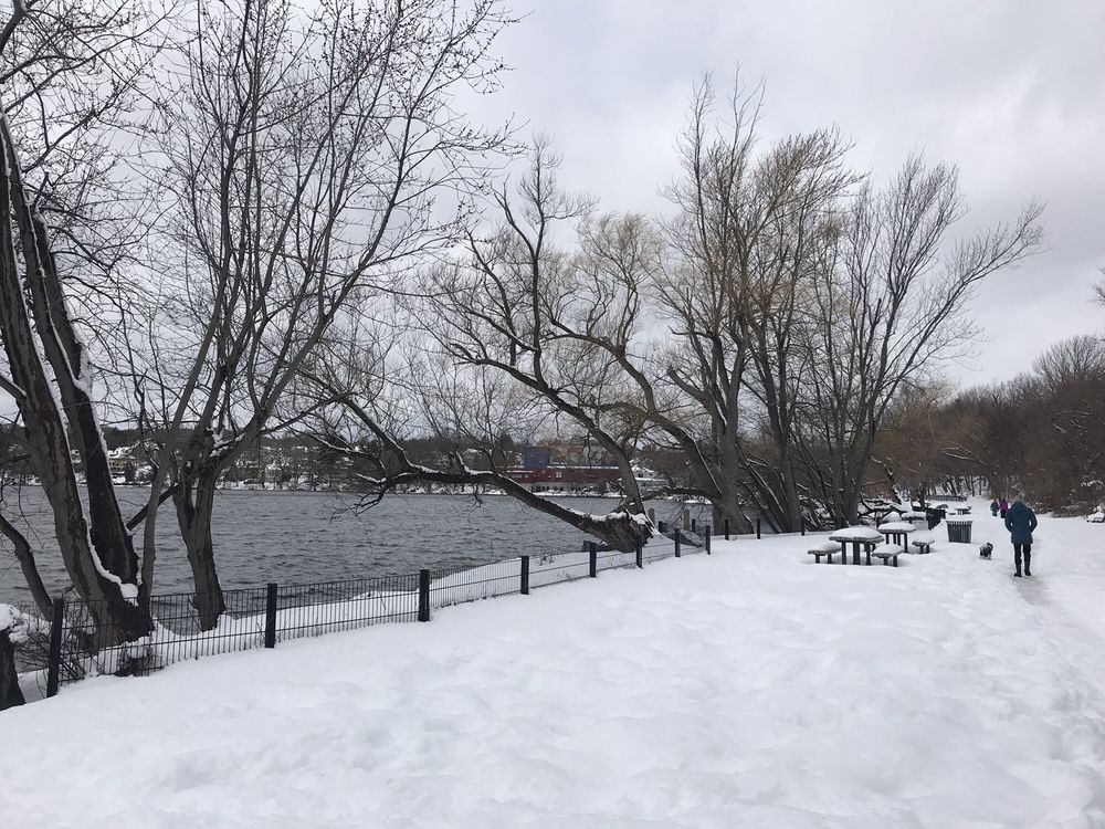 Spy Pond - 39 Photos & 17 Reviews - Parks - Pond Ln, East Arlington ...