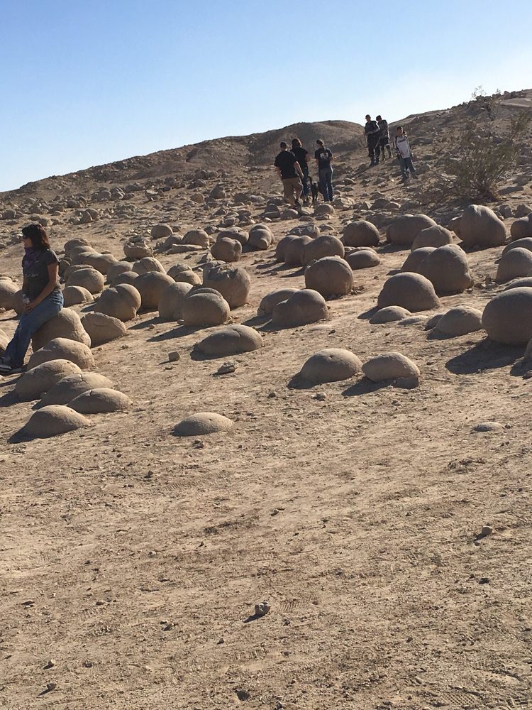 Pumpkin Patch - Local Flavor - Ocotillo Wells, CA - Yelp