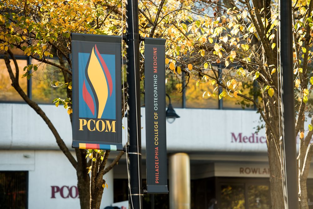 Philadelphia College of Osteopathic Medicine - Colleges & Universities ...