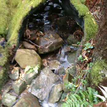 1000 Steps - 66 Photos & 17 Reviews - Hiking - Mt Dandenong Tourist Rd ...