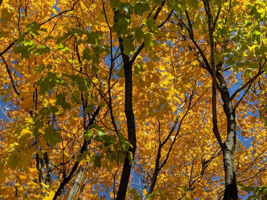 Brooklyn, IA Map & Directions - MapQuest