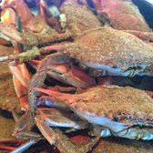 Nicks Fish House - 209 Photos & 262 Reviews - Seafood - 2600 Insulator ...