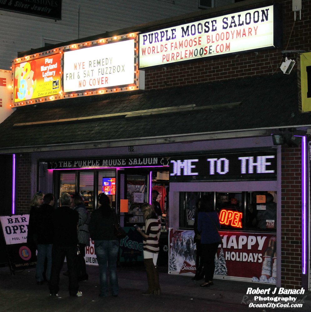 Purple Moose Saloon - 2019 All You Need to Know BEFORE You Go (with ...