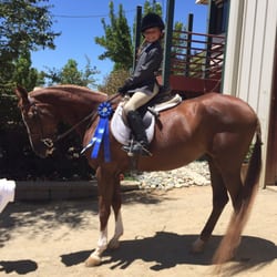 Reno Tahoe Equestrian Centre - 13 Photos - Horseback Riding - 2455 ...