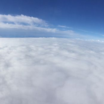 Vanta Cafe - 230 Photos & 210 Reviews - Breakfast & Brunch - 291 ...