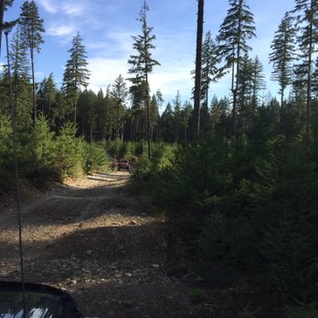 Tahuya State Forest 4x4 Park - 66 Photos - Parks - Belfair, WA - Yelp