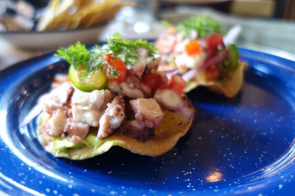 La Docena - 263 Photos & 61 Reviews - Seafood - Av. Álvaro Obregón 31 ...