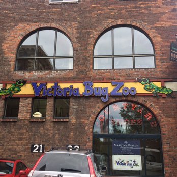 Victoria Bug Zoo - 87 Photos & 79 Reviews - Zoos - 631 Courtney Street ...