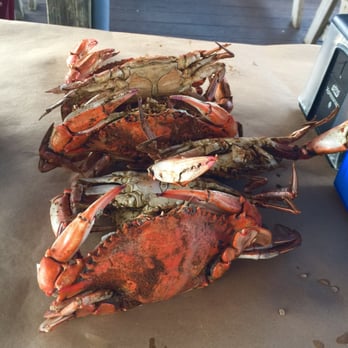 Nicks Fish House - 138 Photos & 241 Reviews - Seafood - 2600 Insulator ...