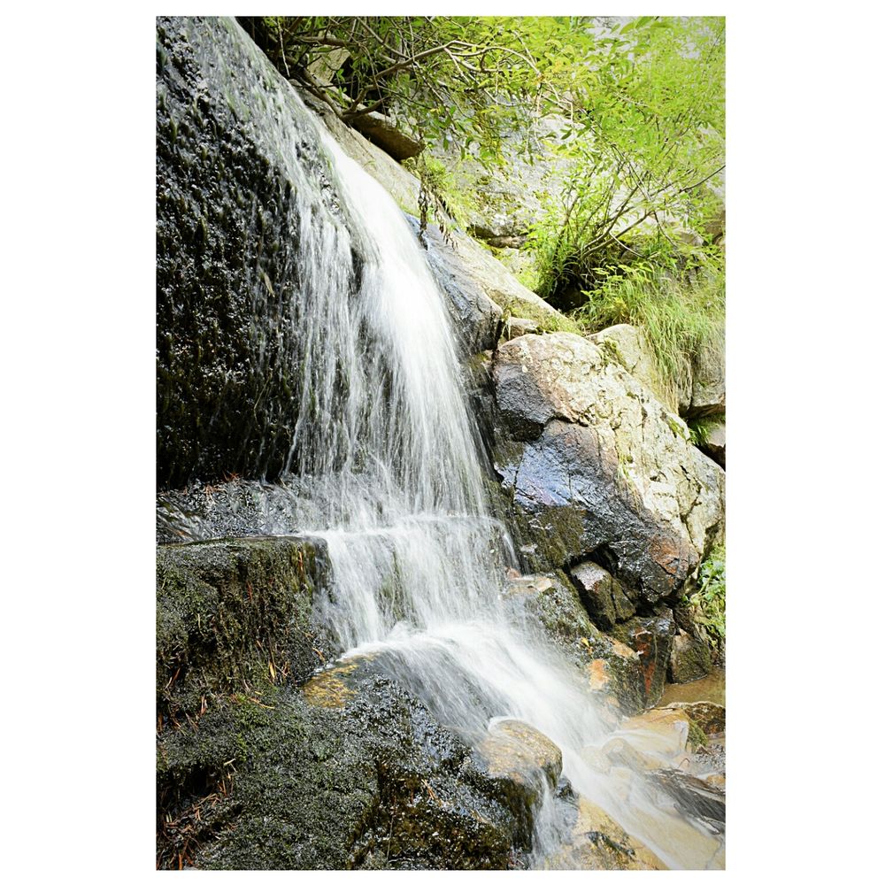 Lower Maxwell Falls Trail Head - 83 Photos & 28 Reviews - Hiking - S ...