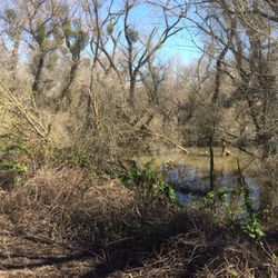 San Joaquin Wildlife Refuge Nature Trail - 13 Photos - Hiking - 2714 ...