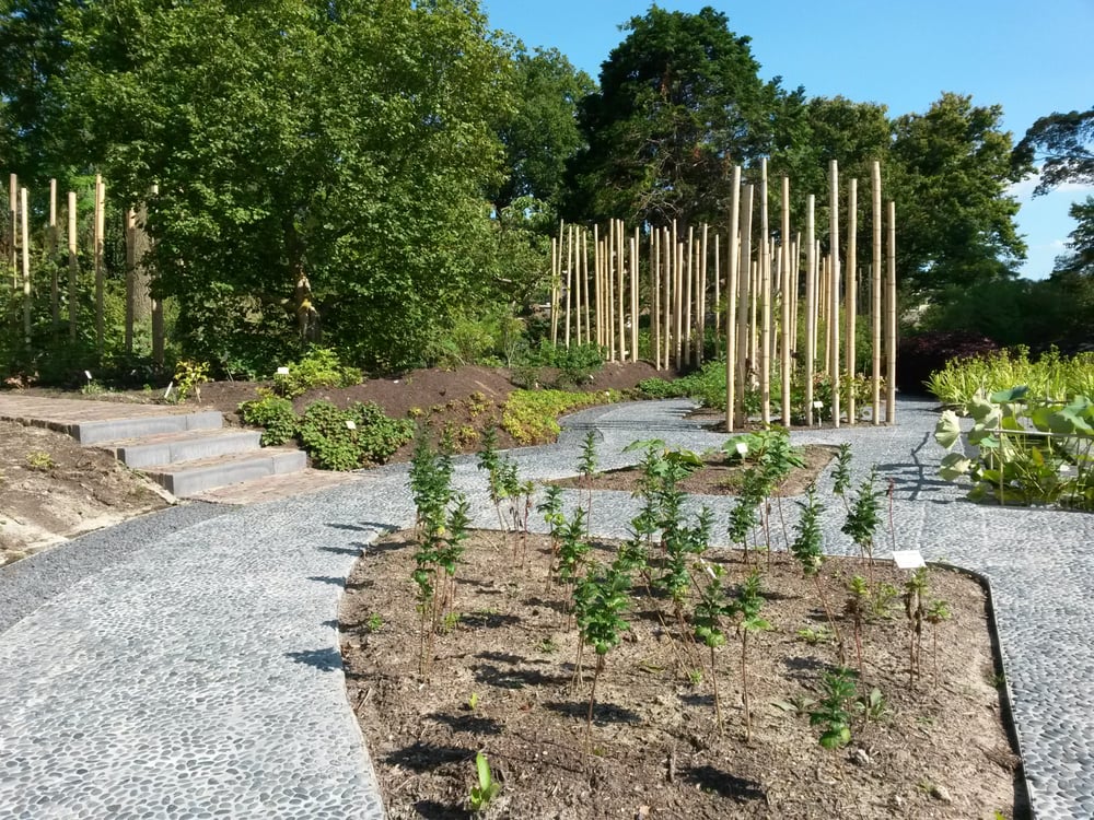 Hortus Botanicus Leiden - 55 Photos - Botanical Gardens - Rapenburg 73 ...