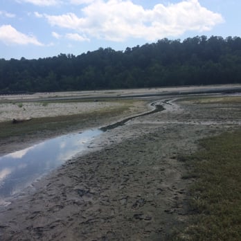 Flag Ponds Nature Park - 54 Photos & 34 Reviews - Parks - 1525 Flag ...