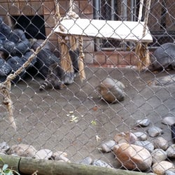 Applegate Park Zoo - 64 Photos & 24 Reviews - Zoos - 1045 W 25th St ...