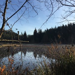 Beaver Lake - 2019 All You Need to Know BEFORE You Go (with Photos ...