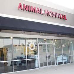 The Village Animal Hospital - 11 Photos & 15 Reviews - Veterinarians ...