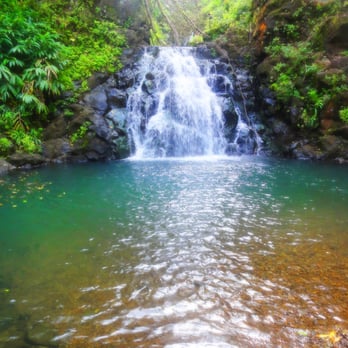Kalihi Ice Ponds - CLOSED - 134 Photos & 38 Reviews - Hiking - 3501 ...