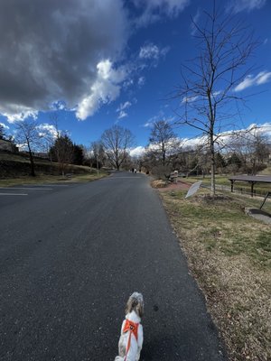 Swoope, VA Map & Directions - MapQuest