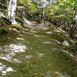 Taconic State Park - Copake Falls Area - 45 Photos & 13 Reviews - Parks ...