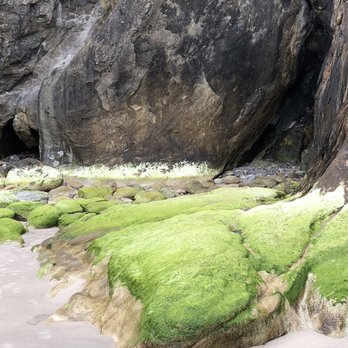 Hug Point State Recreation Site - 126 Photos & 39 Reviews - Parks ...