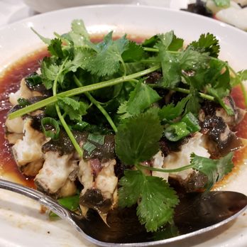 SK Seafood Restaurant 勝記 - 555 Photos & 166 Reviews - Seafood - 5600 ...