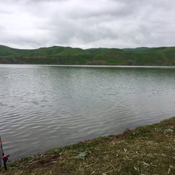 Lake Ming - 34 Photos - Lakes - Lake Ming Rd, Bakersfield, CA - Yelp