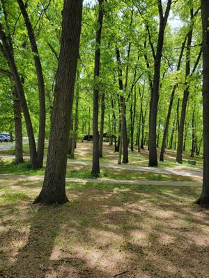 Haslett, MI Map & Directions - MapQuest