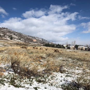 Apex Trail - 45 Photos & 27 Reviews - Parks - 1470 10th St, Golden, CO ...