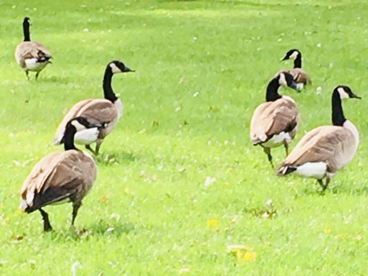 Winamac, IN Map & Directions - MapQuest