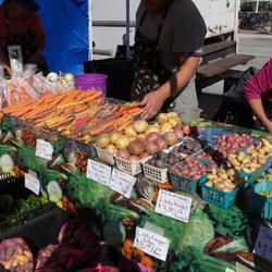 Dane County Farmer’s Market - 394 Photos & 276 Reviews - Farmers Market ...
