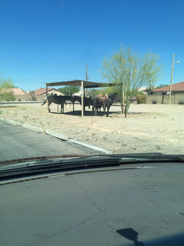 The Silver Pony - 10 Photos & 25 Reviews - Bars - 620 W Dobbins Rd ...