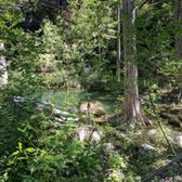 Hamilton Pool Preserve - 750 Photos & 310 Reviews - Parks - 24300 ...