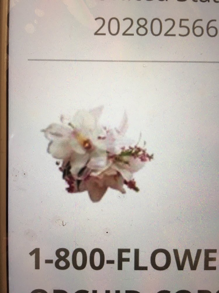 Super Value Flowers - 2019 All You Need to Know BEFORE You Go (with ...