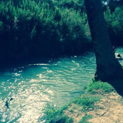 Palm Creek RV Resort and Picnic Grounds - 25 Photos - Resorts - 3215 W ...